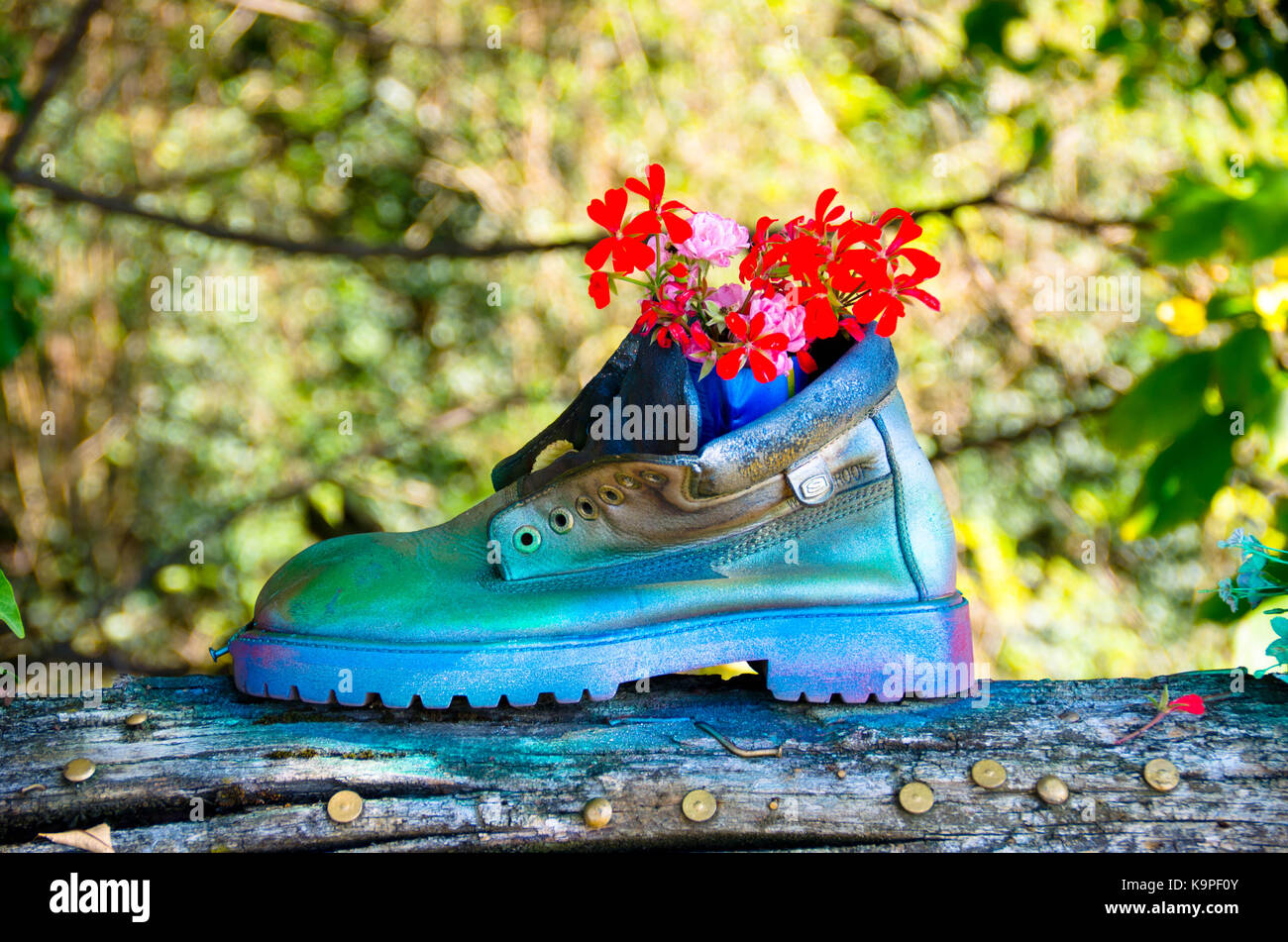 Funny Shoe High Resolution Stock Photography and Images - Alamy