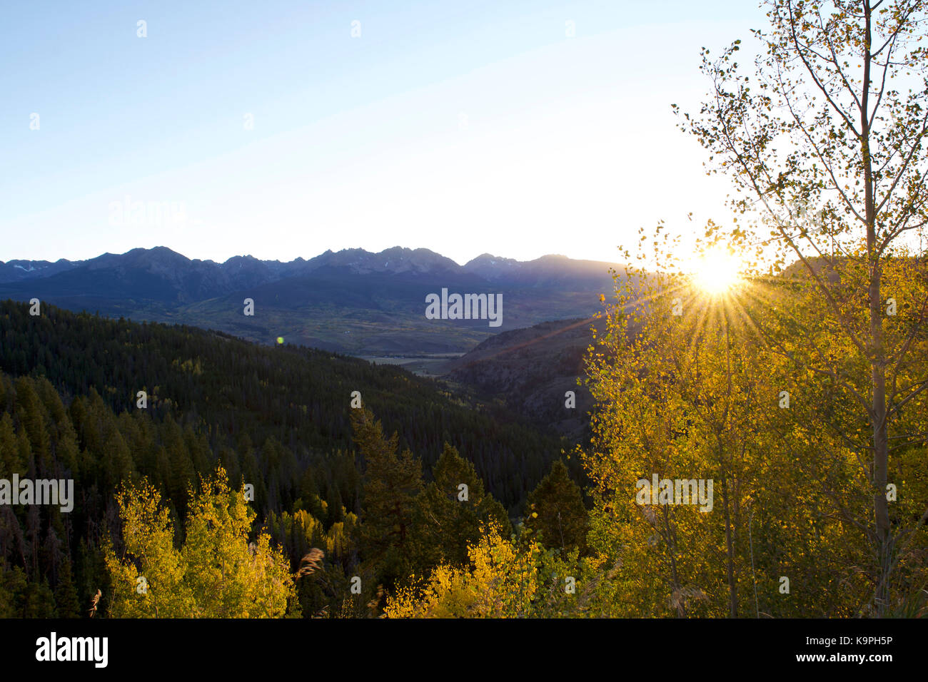Aspen Trees Fall Colorado Sunset Stock Photo - Alamy