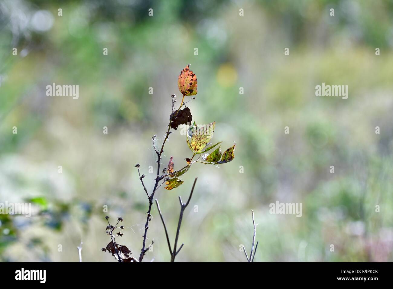 Turning color hi-res stock photography and images - Alamy