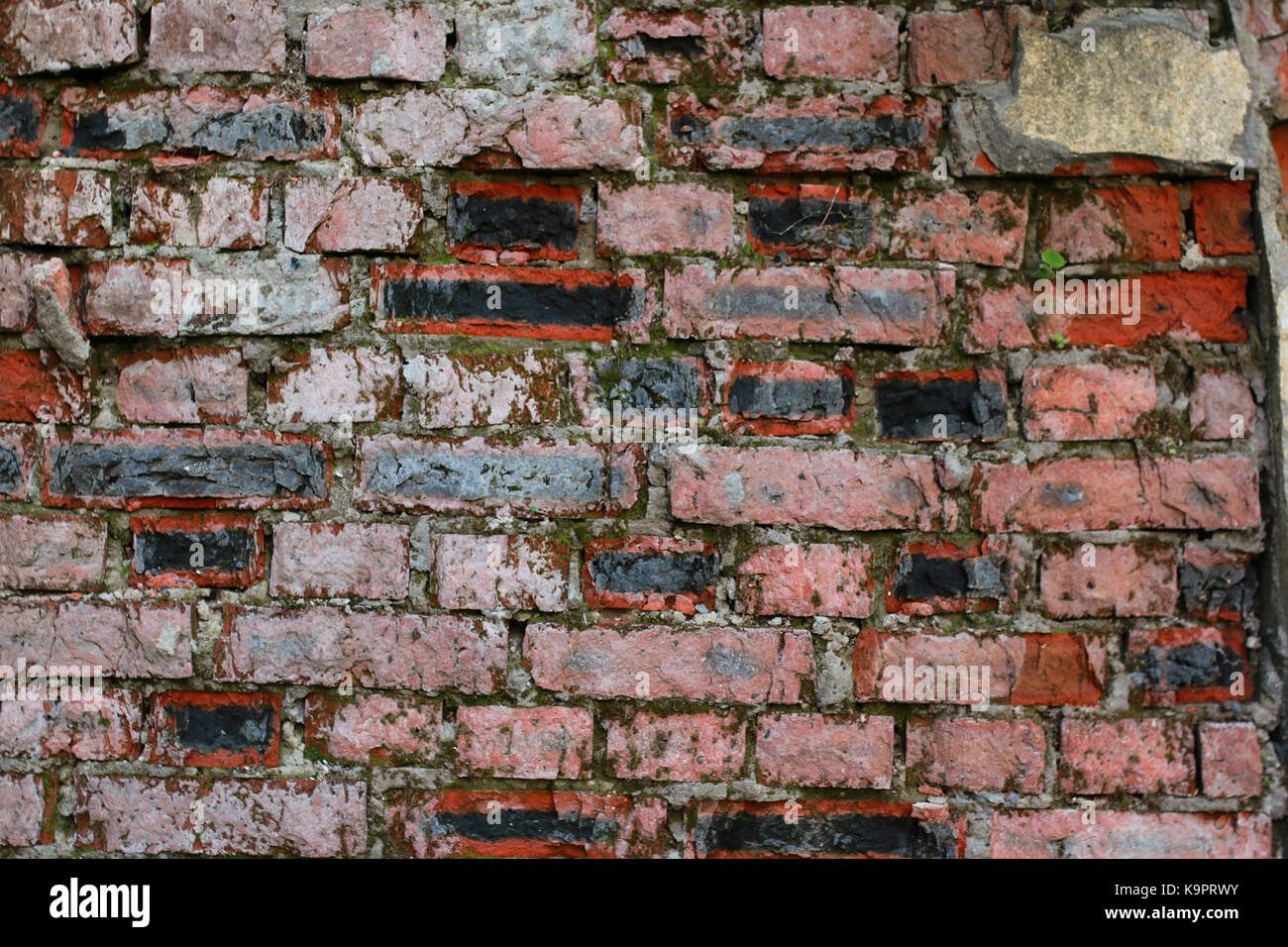 old red brick wall Stock Photo - Alamy