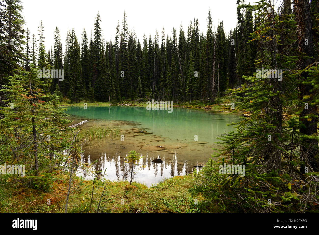 Mount rearguard hi-res stock photography and images - Alamy