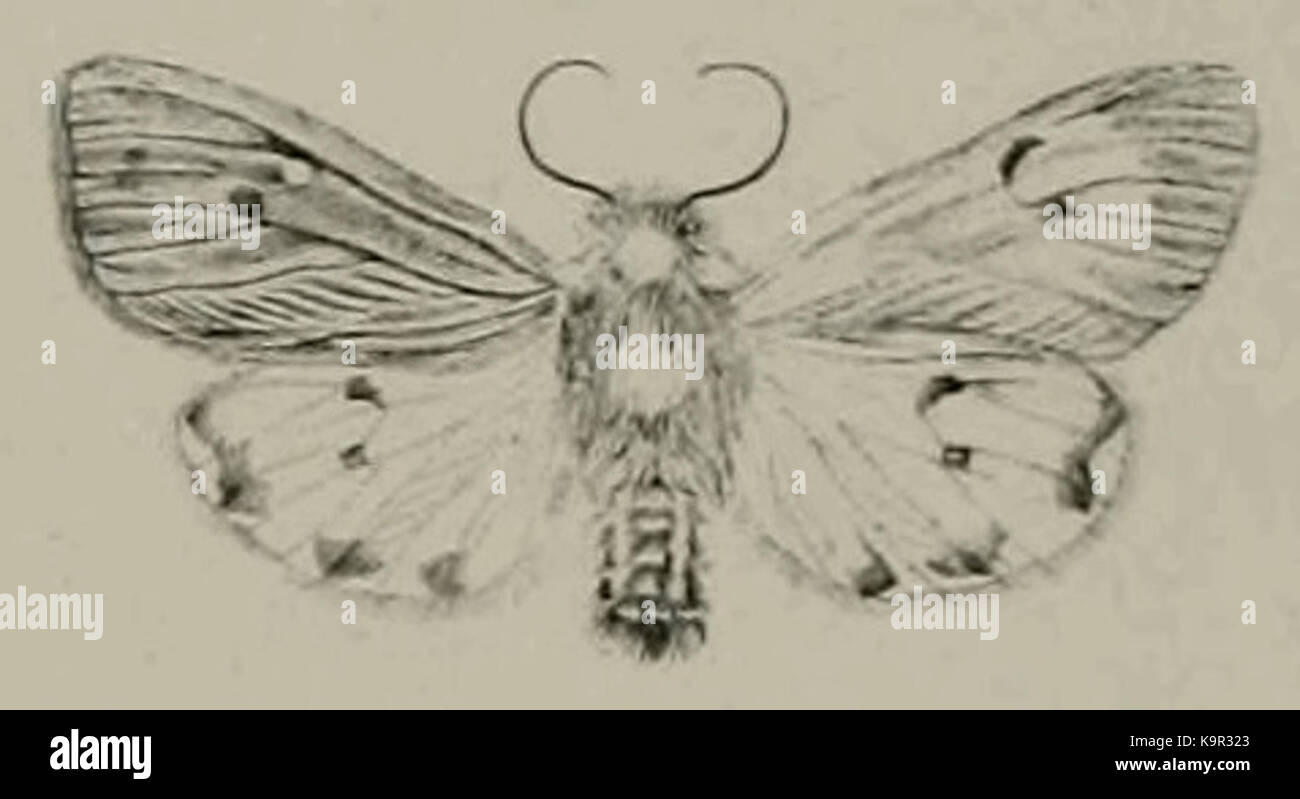 Placida hi-res stock photography and images - Alamy