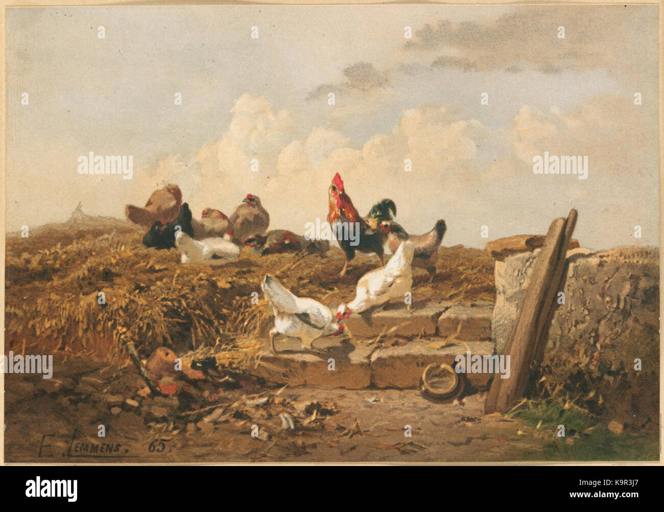 Poultry husbandry hi-res stock photography and images - Alamy