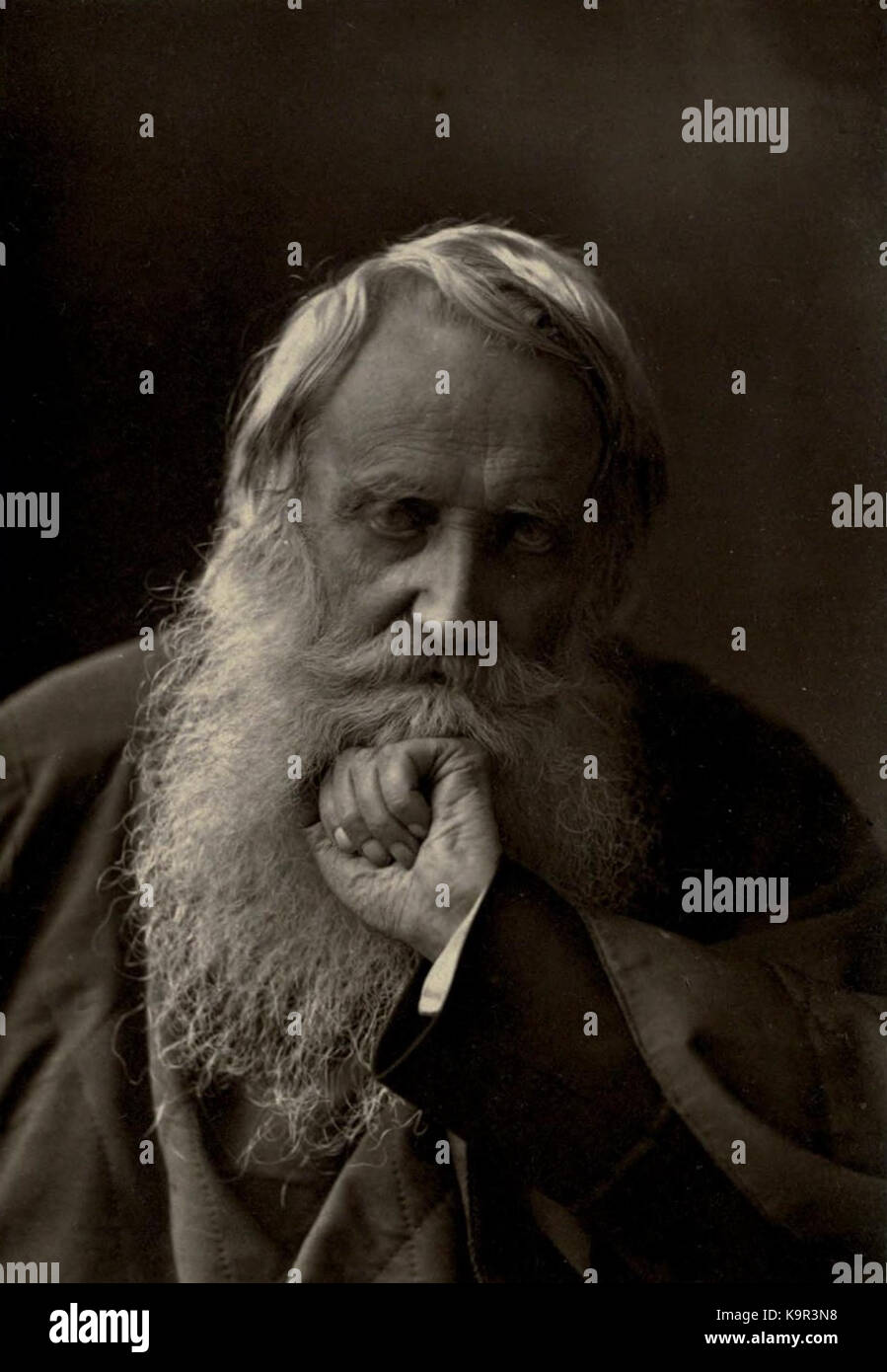 Picture of Sir Henry Taylor Stock Photo - Alamy