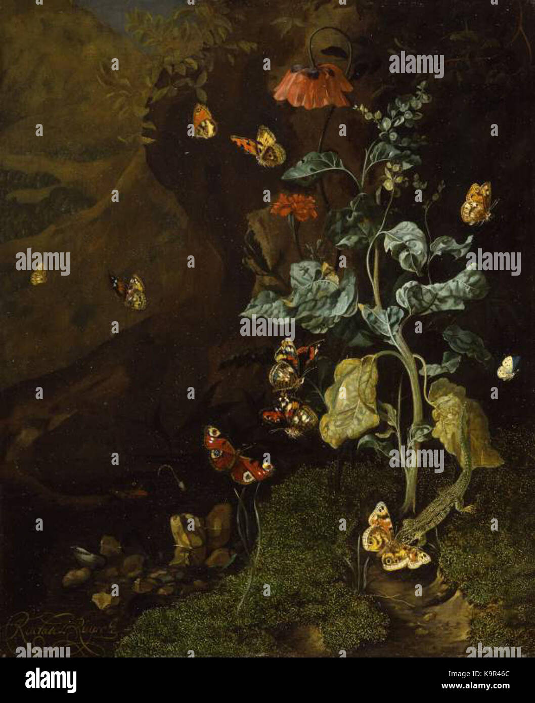 Rachel ruysch hi-res stock photography and images - Alamy