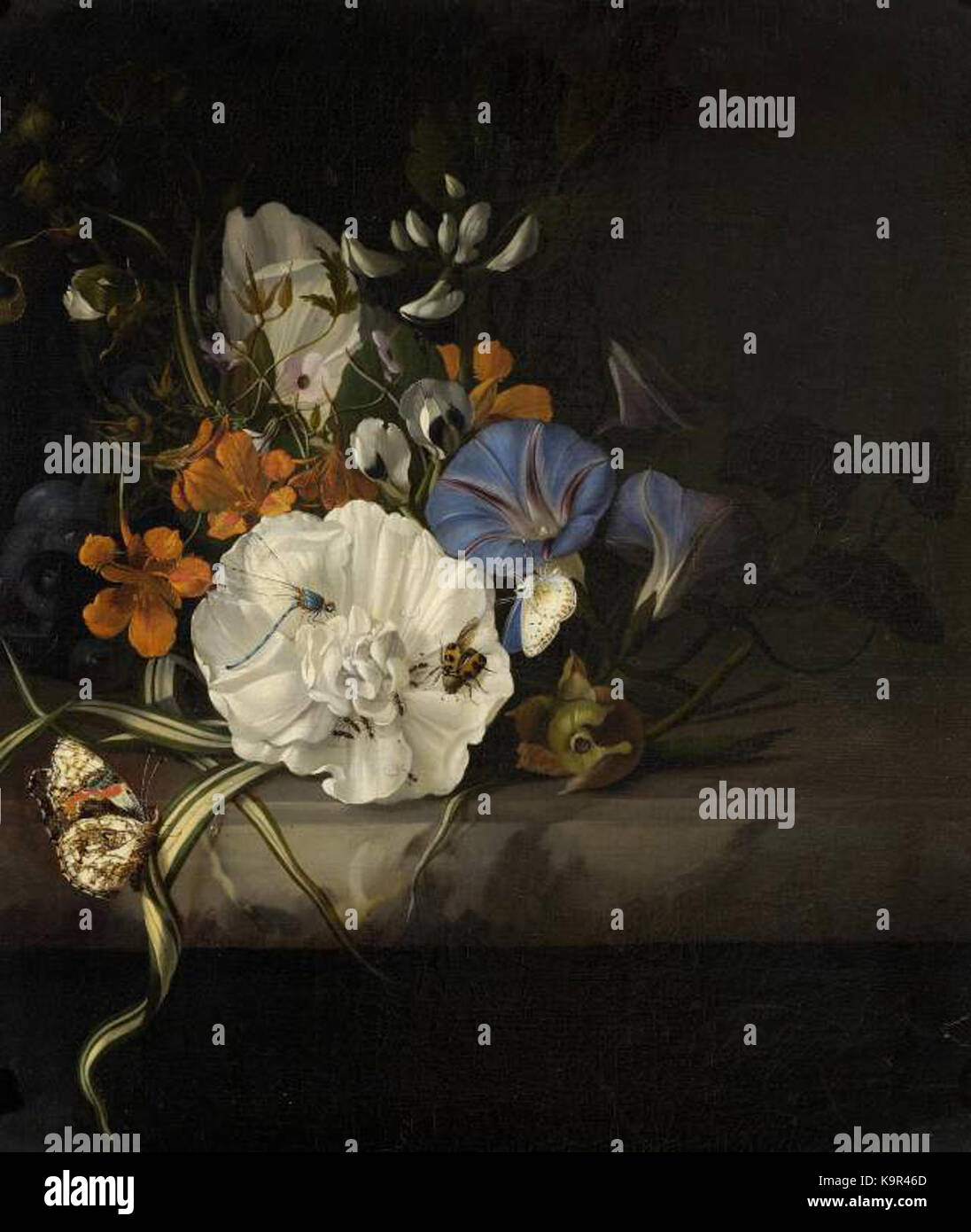 Rachel ruysch hi-res stock photography and images - Alamy