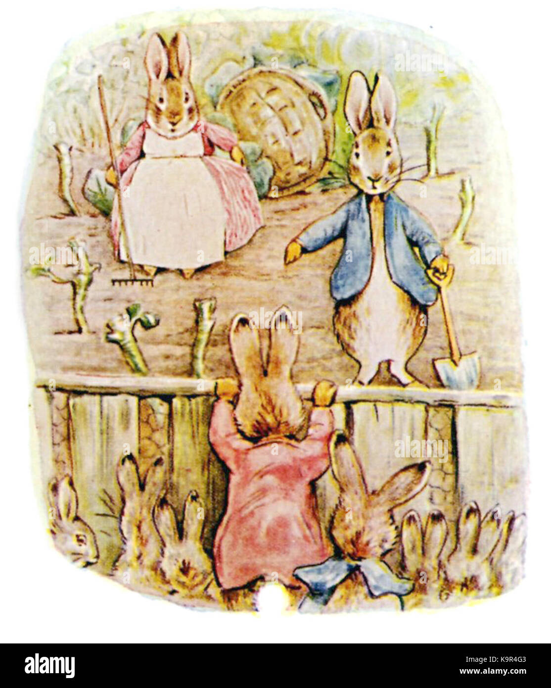 Peter Rabbit Illustrations