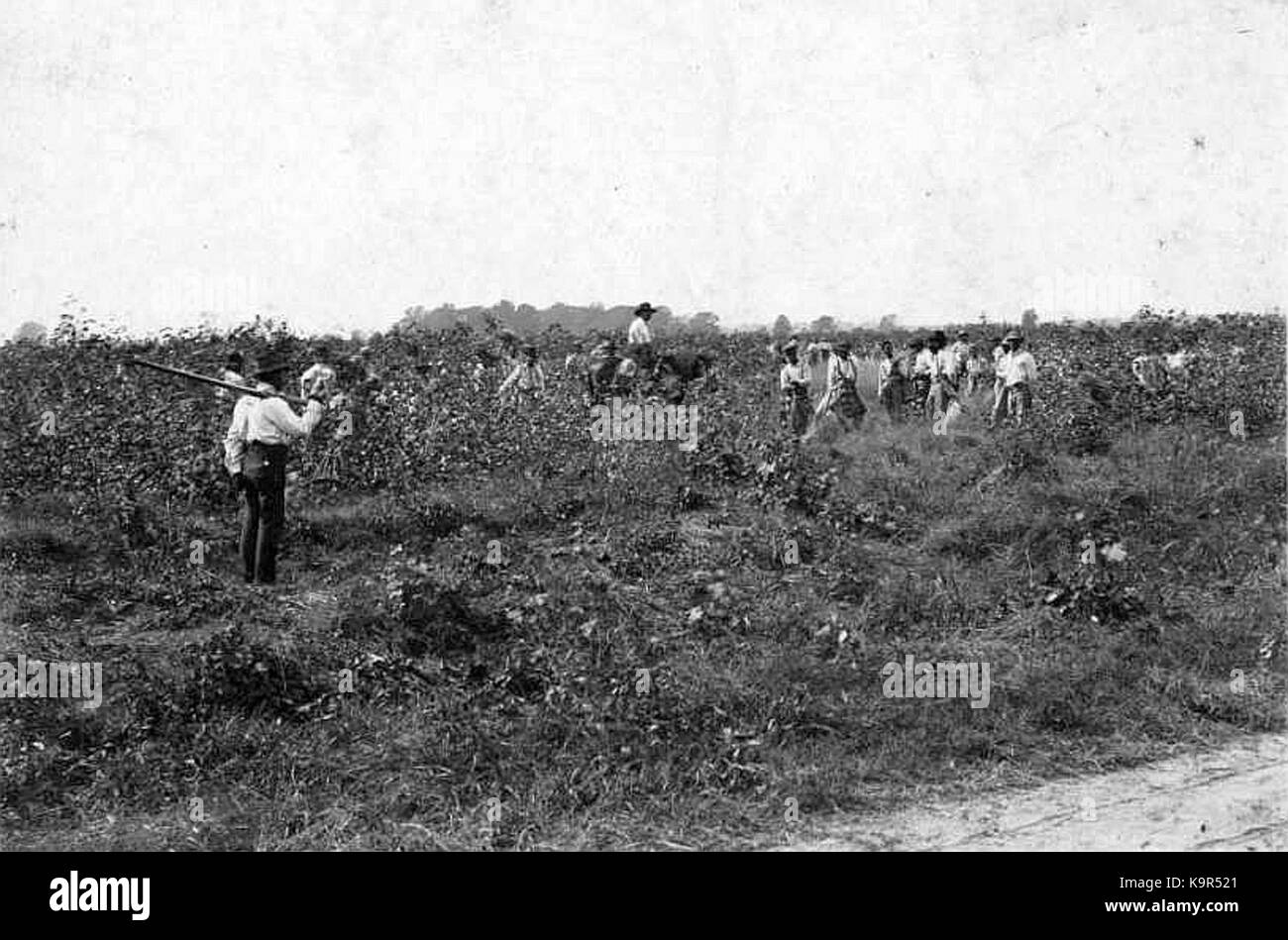 State farm historical Black and White Stock Photos & Images - Alamy