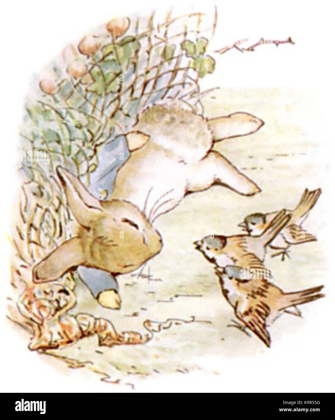 Tales of peter rabbit and his friends hi-res stock photography and ...