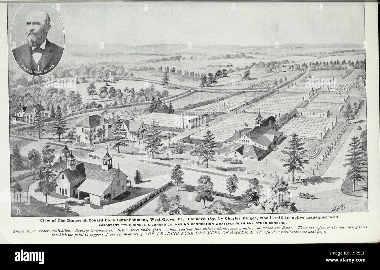 Our new guide to rose culture (16442642111 Stock Photo - Alamy