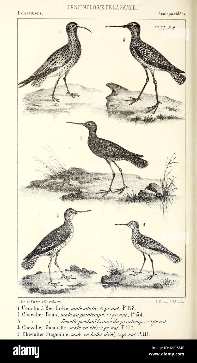 A historical text focusing on the birds of Savoie, France, featuring ...