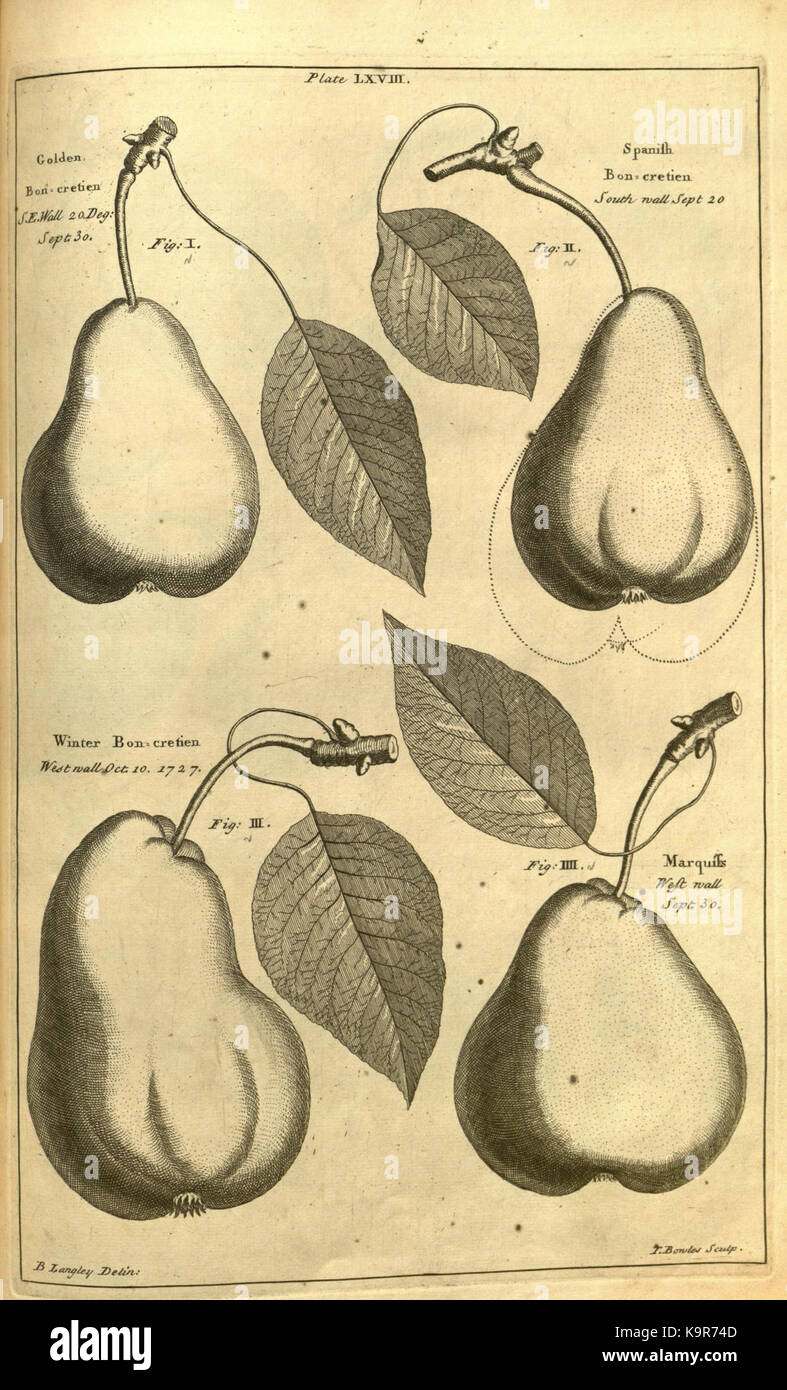 Pomona, or, The fruit garden illustrated (Plate LXVIII) (7930106552 ...