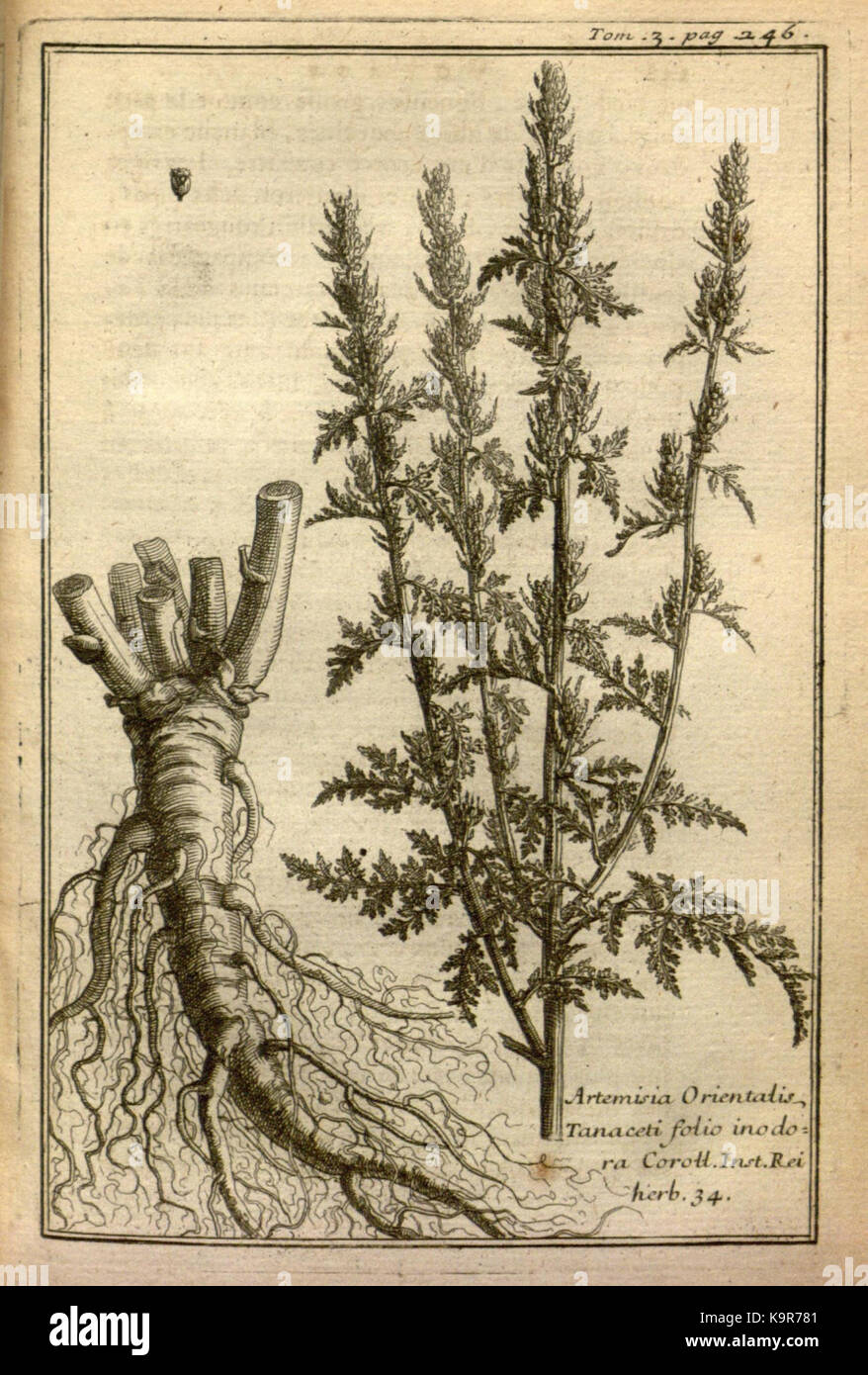 Relation d'un voyage du Levant (Plate 39) (7893917424 Stock Photo - Alamy