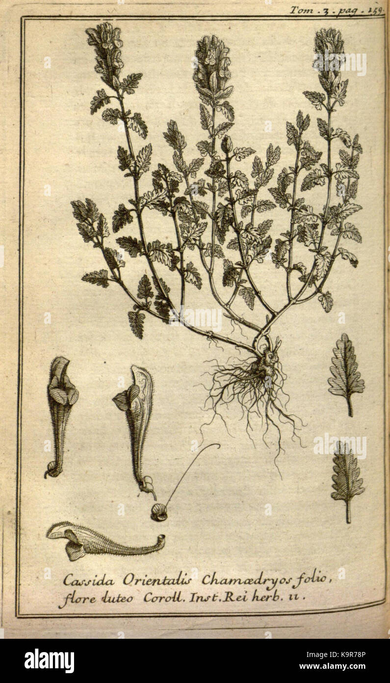 Relation d'un voyage du Levant (Plate 24) (7893900588 Stock Photo - Alamy