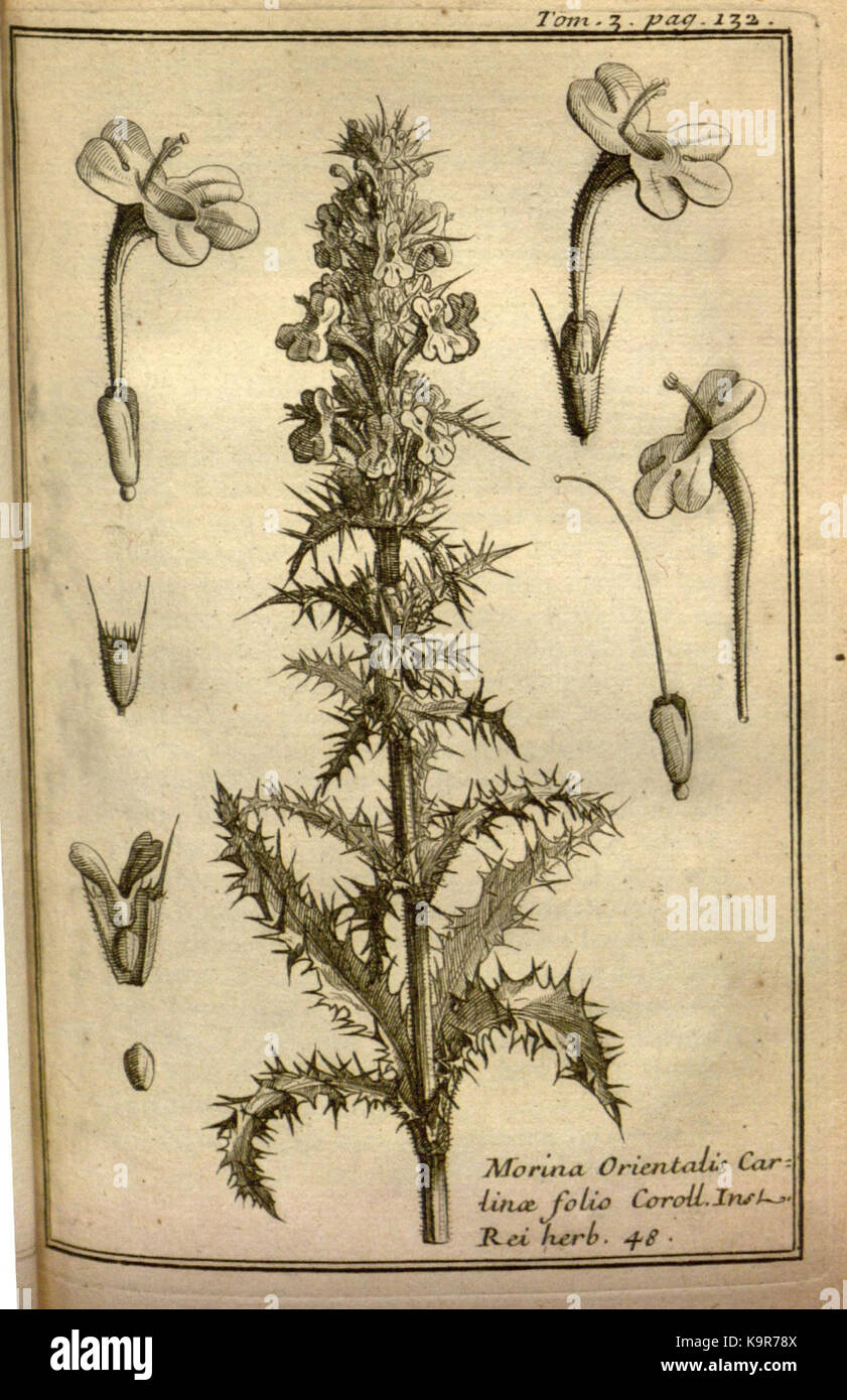 Relation d'un voyage du Levant (Plate 18) (7893893746 Stock Photo - Alamy