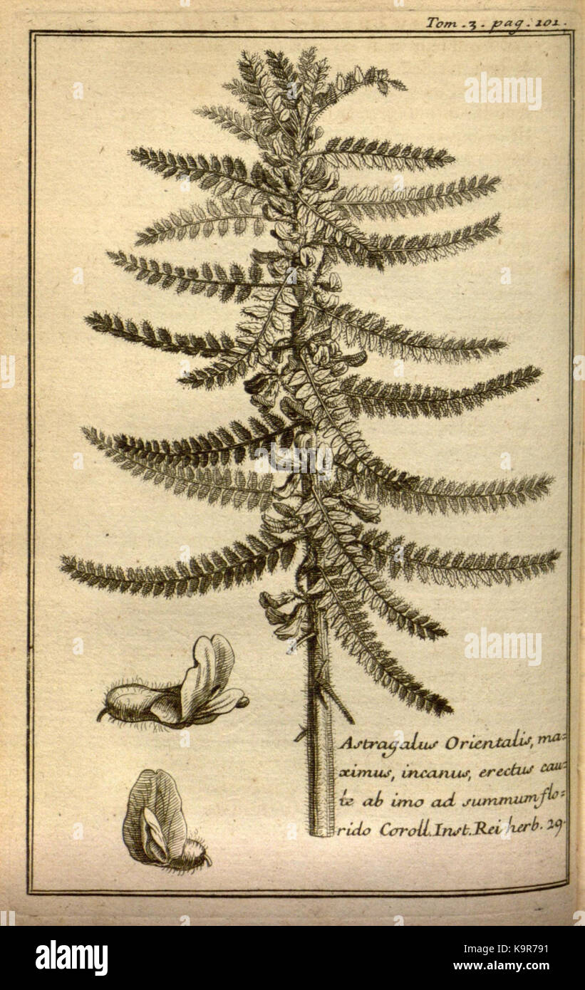 Relation d'un voyage du Levant (Plate 15) (7893889552 Stock Photo - Alamy