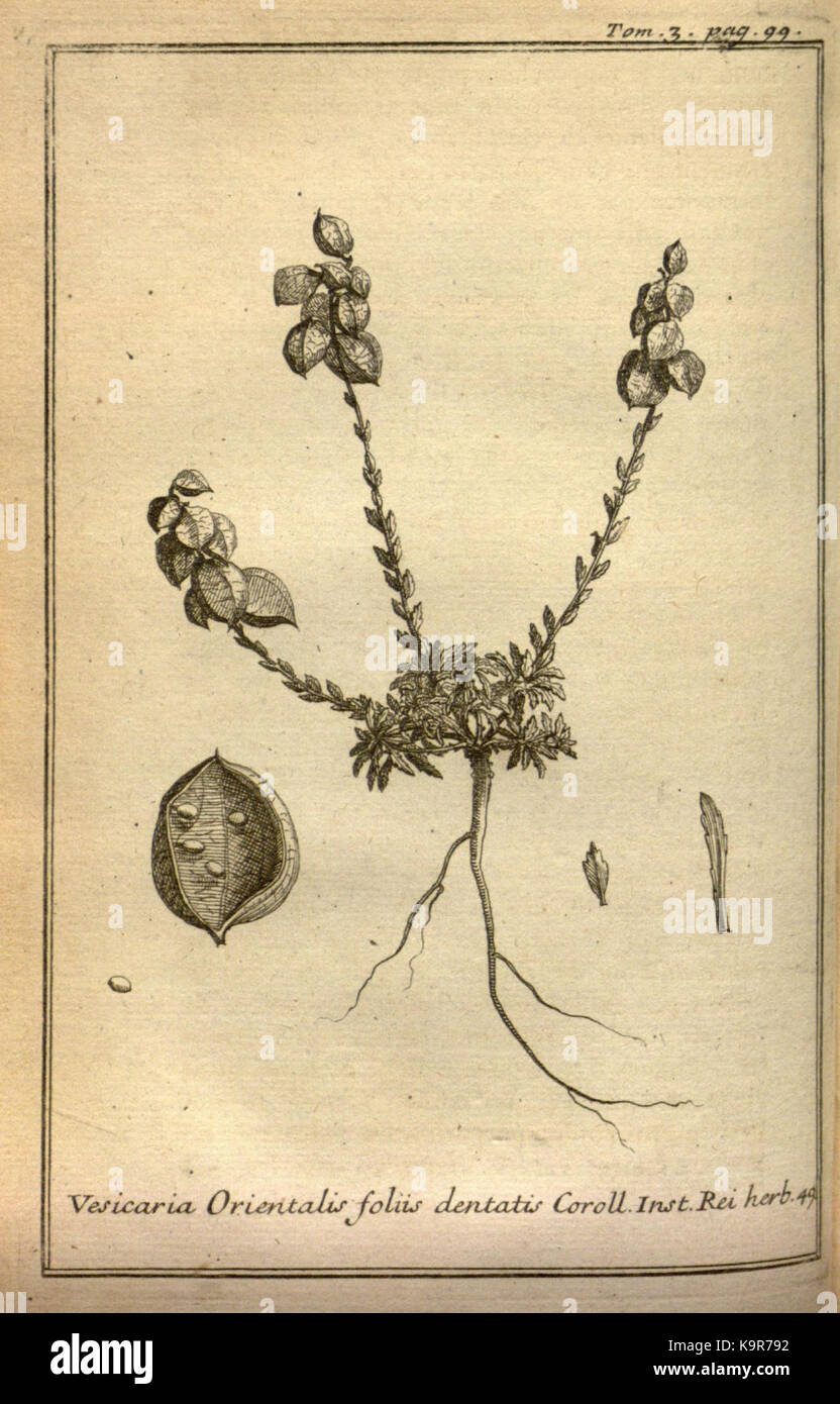 Relation d'un voyage du Levant (Plate 14) (7893888434 Stock Photo - Alamy