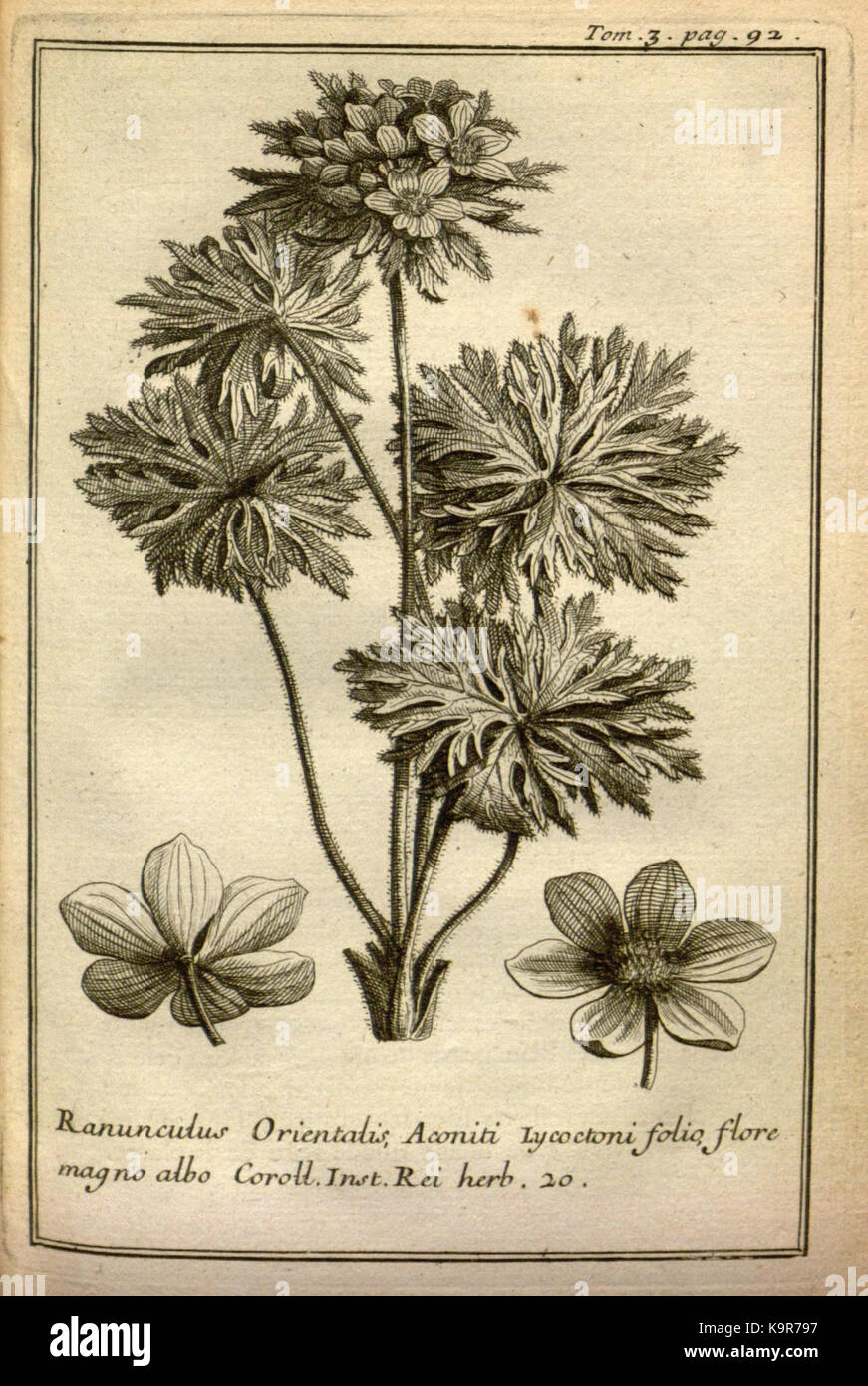 Relation d'un voyage du Levant (Plate 10) (7893884092 Stock Photo - Alamy