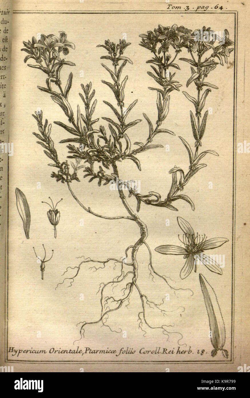 Relation d'un voyage du Levant (Plate 5) (7893877934 Stock Photo - Alamy