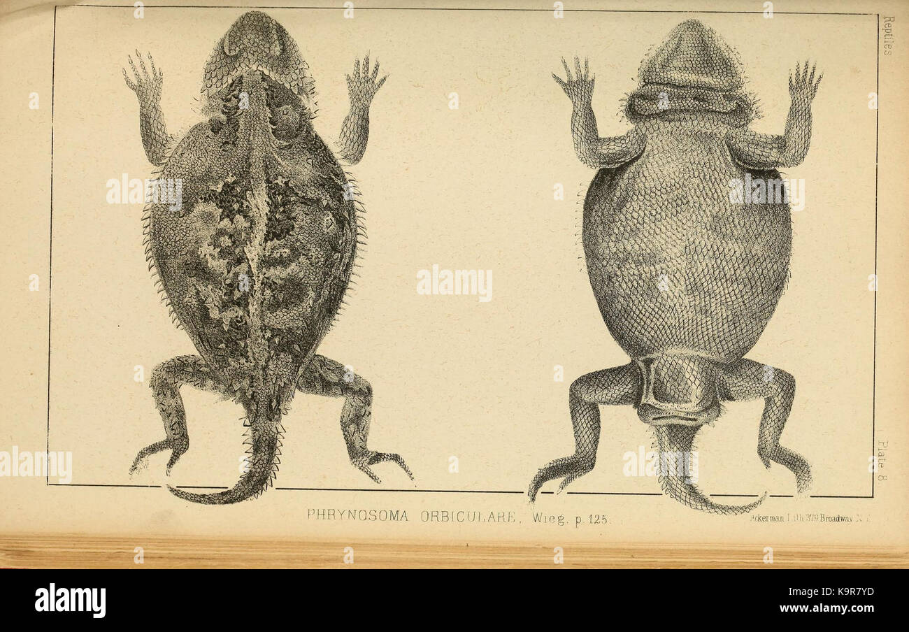 A detailed report from an expedition down the Zuni and Colorado rivers ...