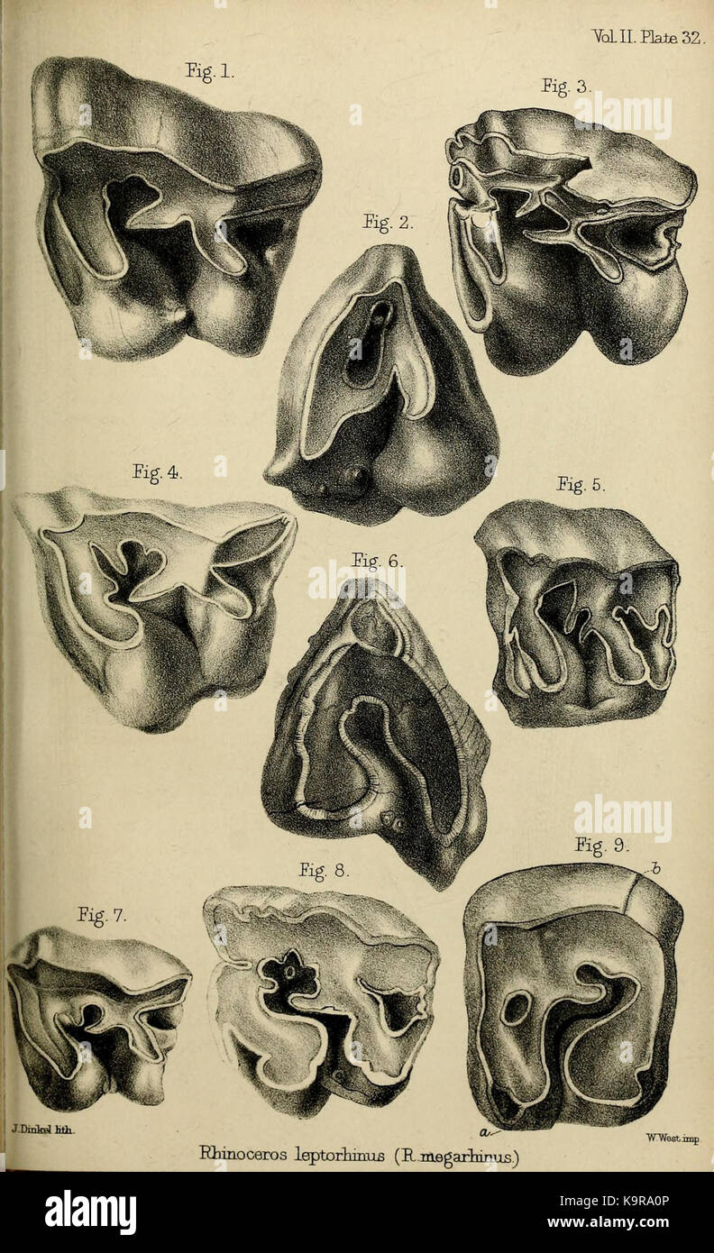 Palaeontological memoirs and notes of H. Falconer, with a biographical ...
