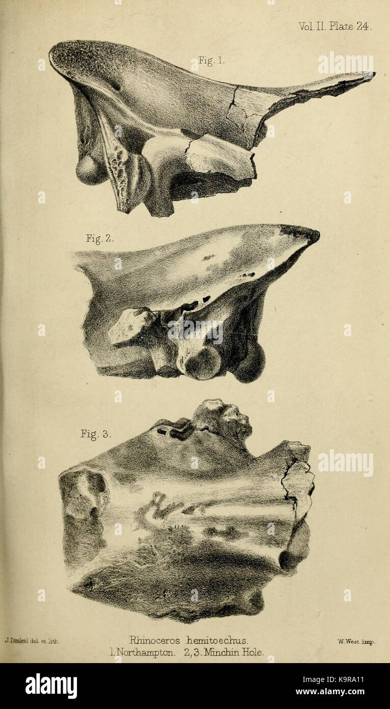 Map of falconer hi-res stock photography and images - Alamy