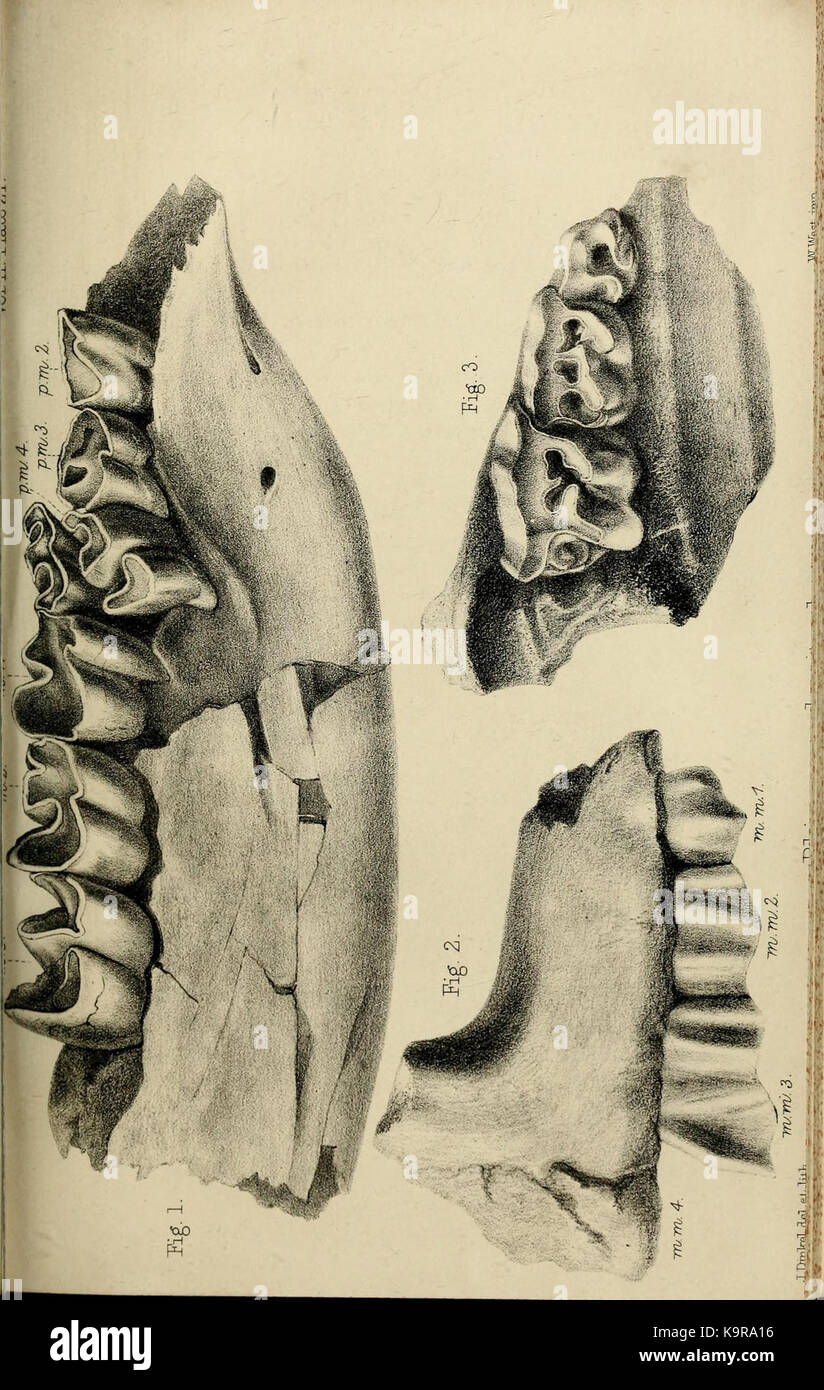 Map of falconer hi-res stock photography and images - Alamy