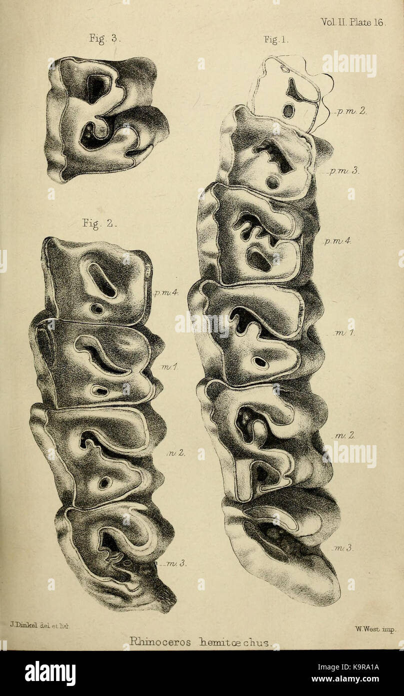 Map of falconer hi-res stock photography and images - Alamy