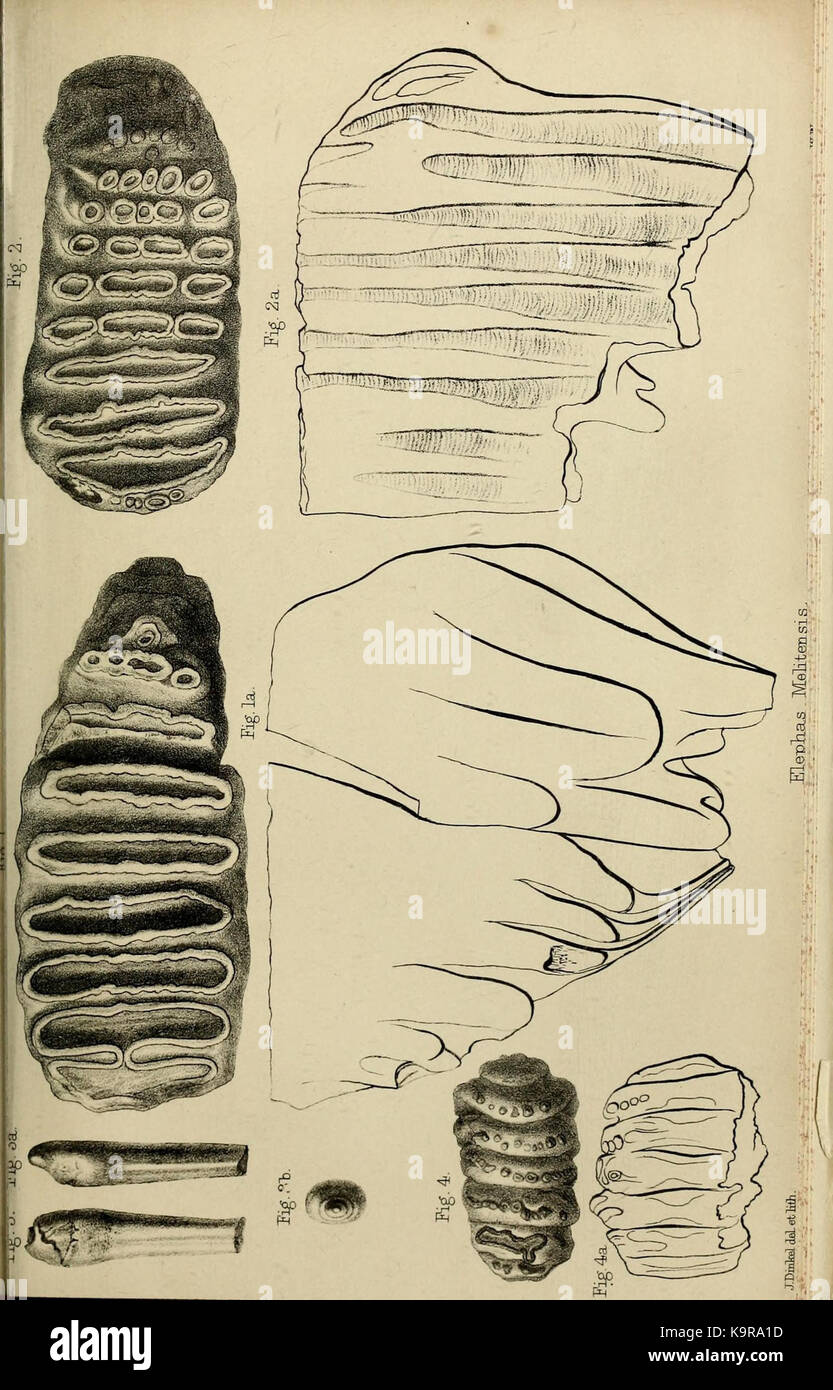 Map of falconer hi-res stock photography and images - Alamy
