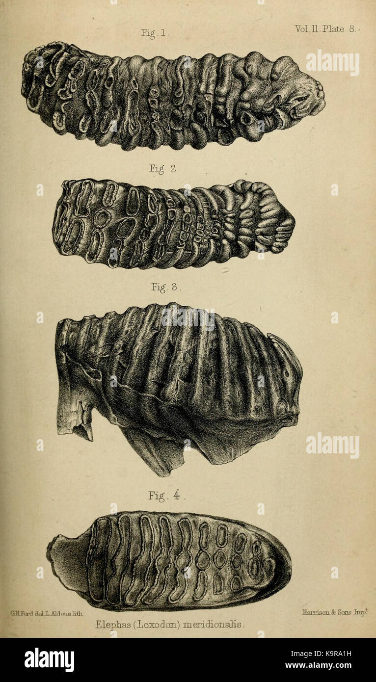 Map of falconer hi-res stock photography and images - Alamy