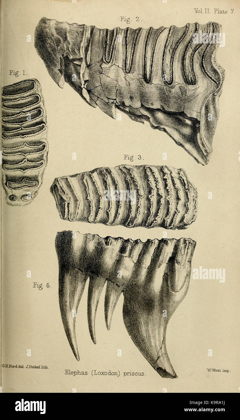 Map of falconer hi-res stock photography and images - Alamy