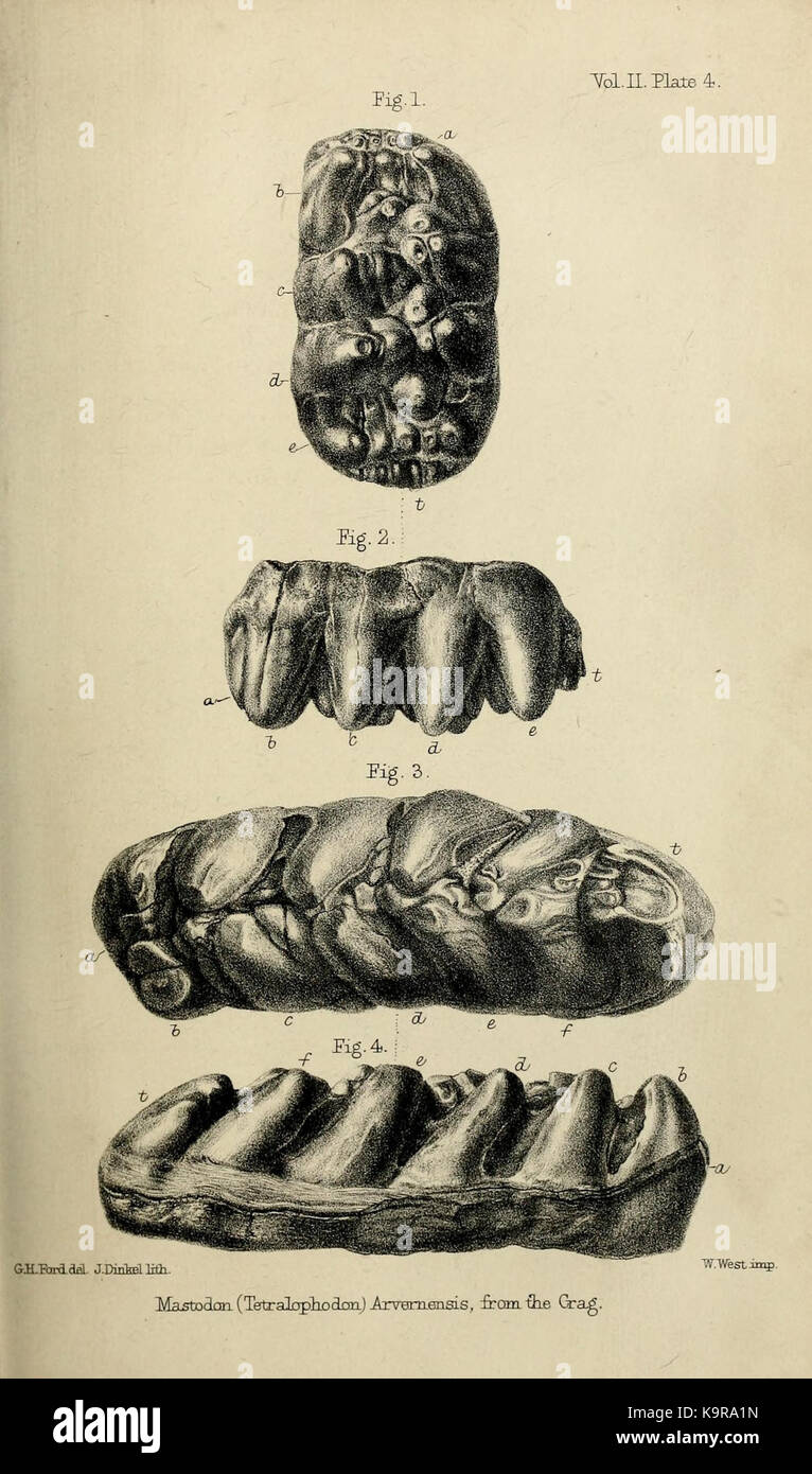 Map of falconer hi-res stock photography and images - Alamy