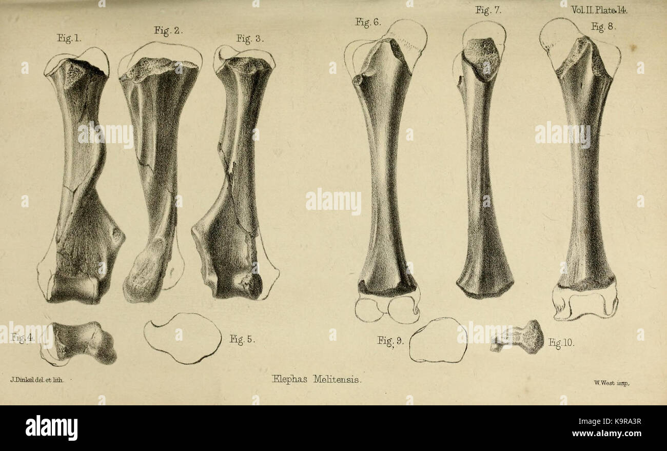 Map of falconer hi-res stock photography and images - Alamy