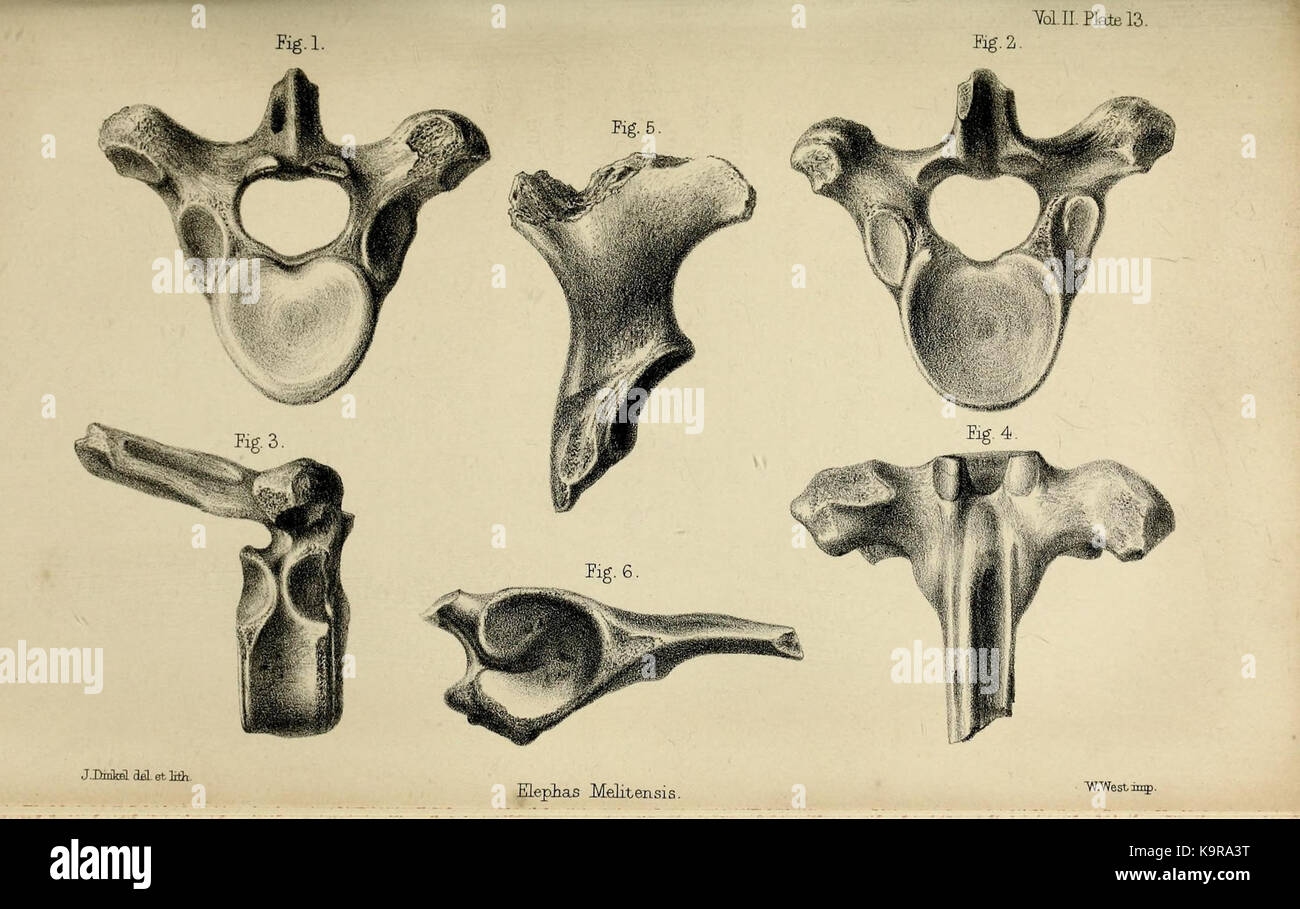Map of falconer hi-res stock photography and images - Alamy
