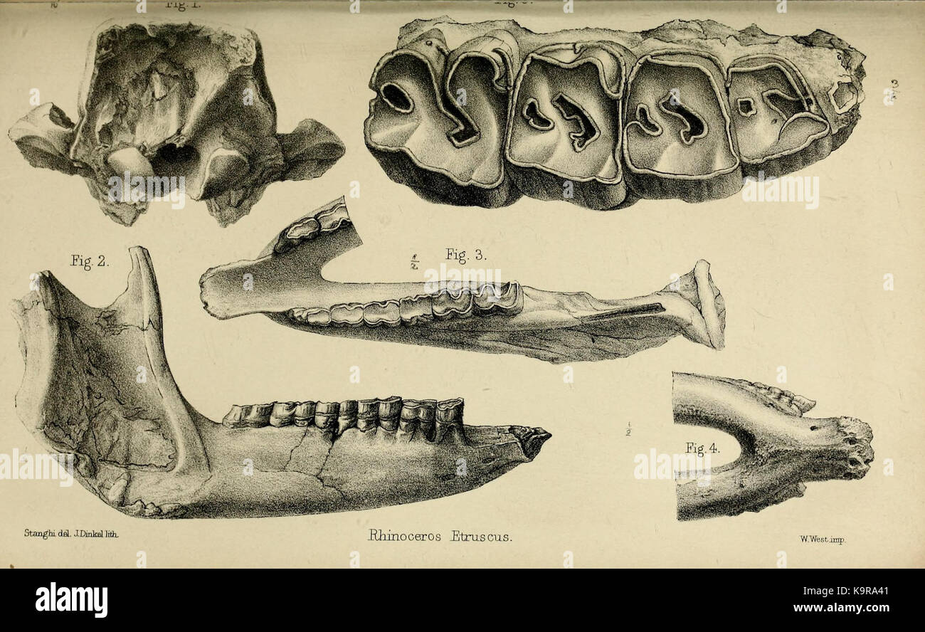 Map of falconer hi-res stock photography and images - Alamy