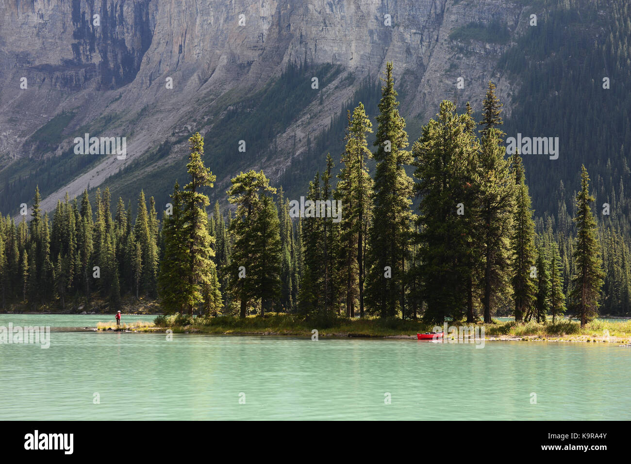 Yoho pass trail hi-res stock photography and images - Alamy