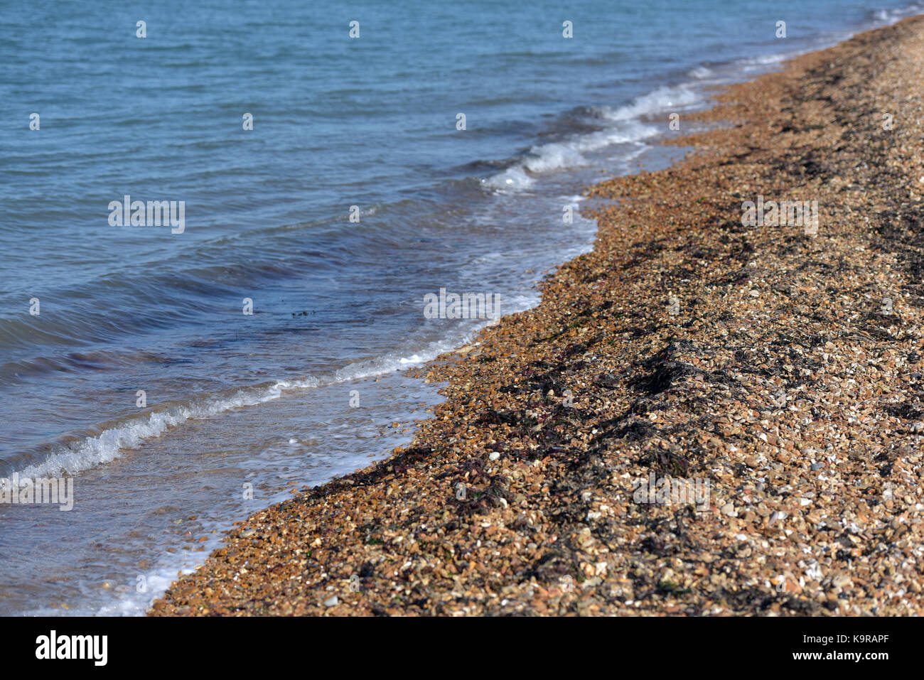Pebble water ripples hi-res stock photography and images - Alamy