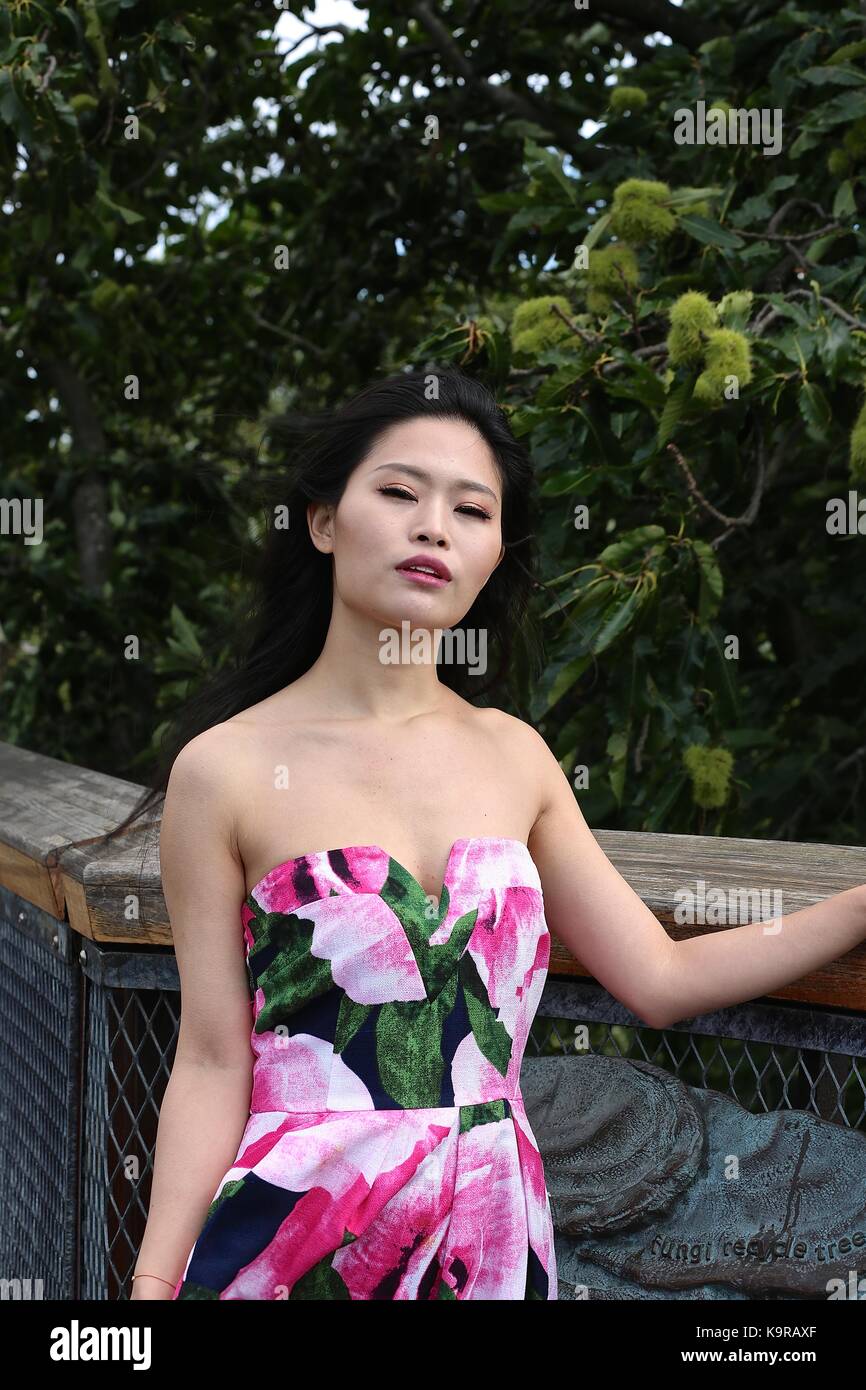 Chinese Model Stock Photo - Alamy