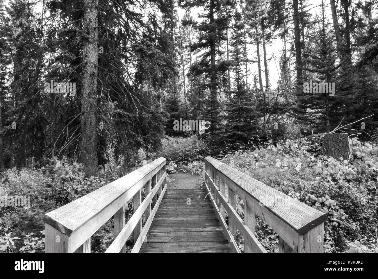 Mt garnet hi-res stock photography and images - Alamy