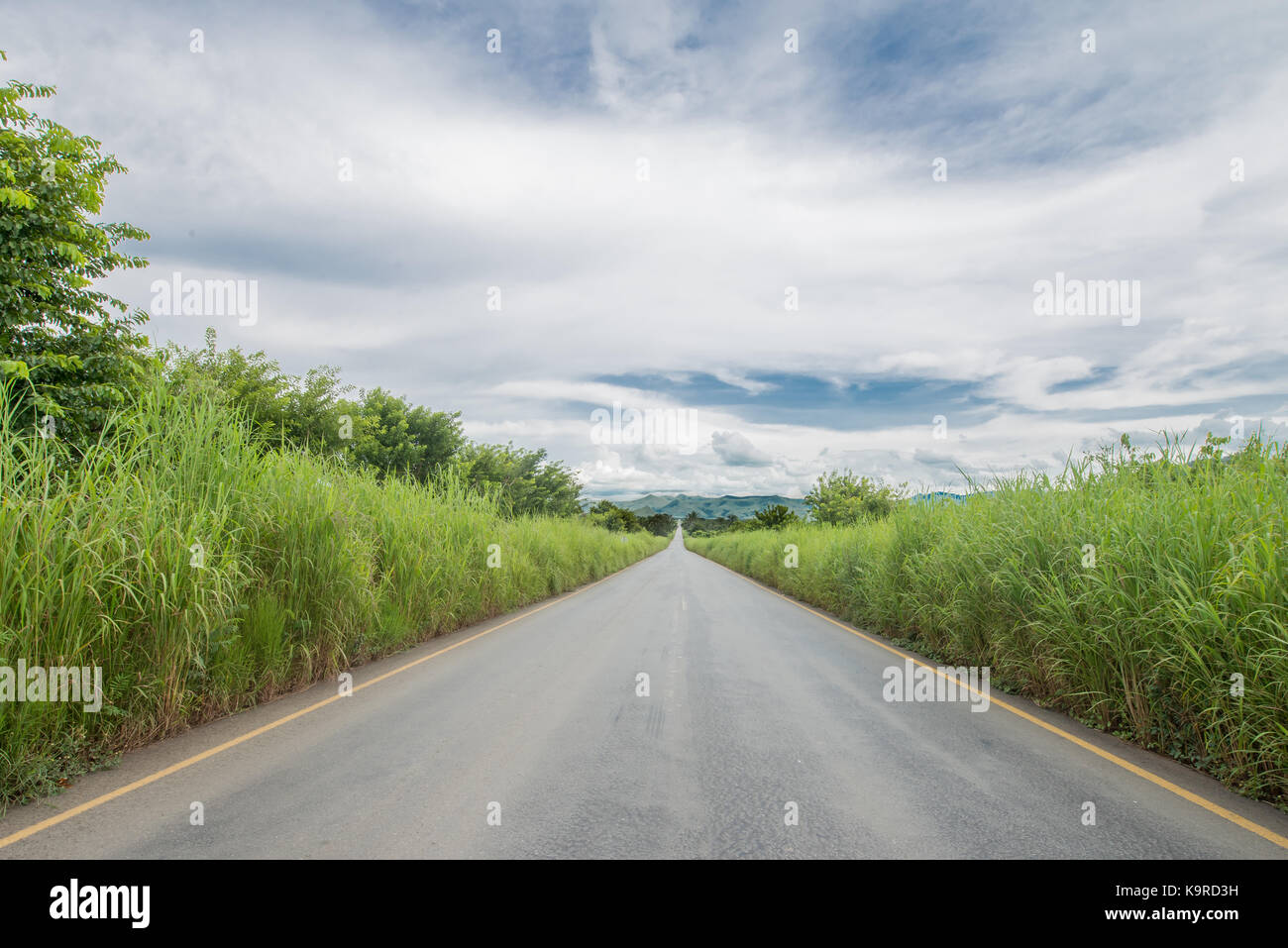 Capim angola hi-res stock photography and images - Alamy