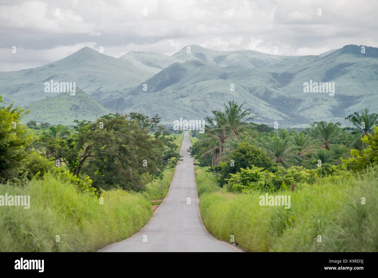 Capim angola hi-res stock photography and images - Alamy