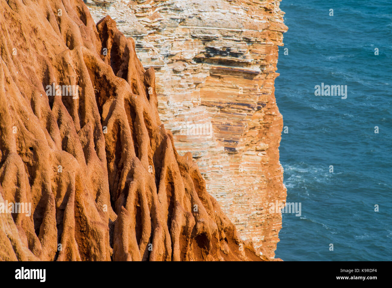 Dande Stock Photo - Alamy