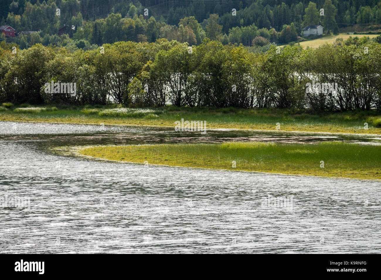 Vagavatnet lake, Norway, Scandinavia, Europe Stock Photo - Alamy