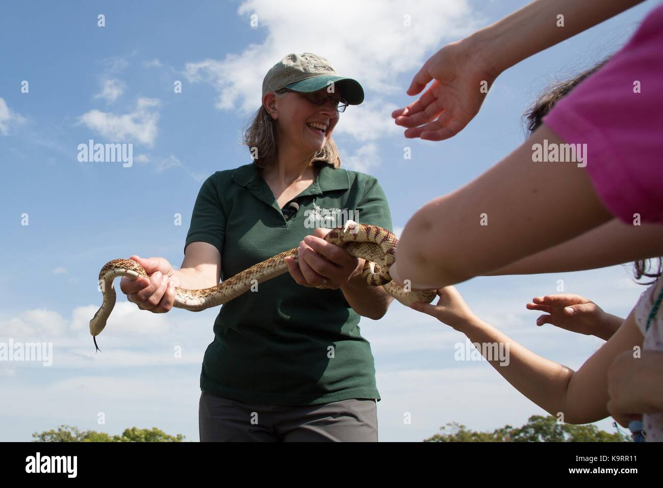 Kids learn about reptiles hands on at an event at Carpenter Nature ...