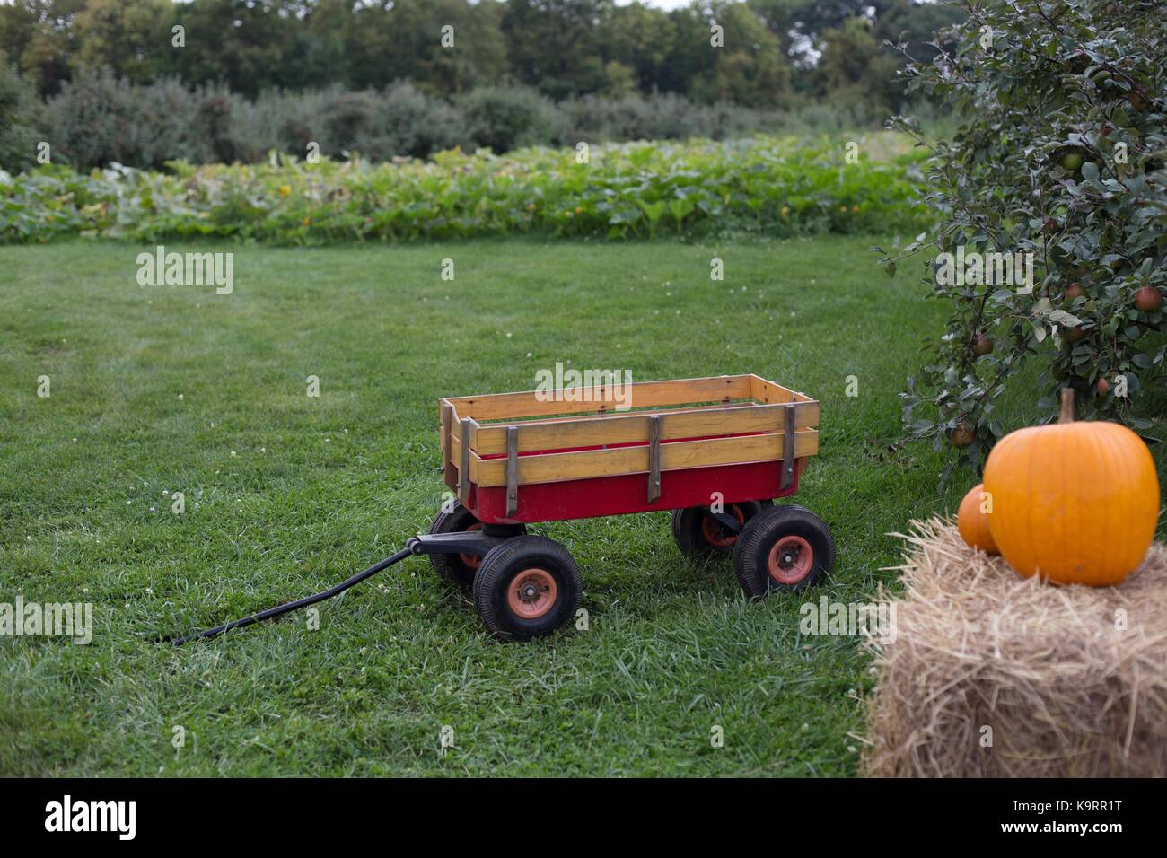 Empty wagon hi-res stock photography and images - Alamy