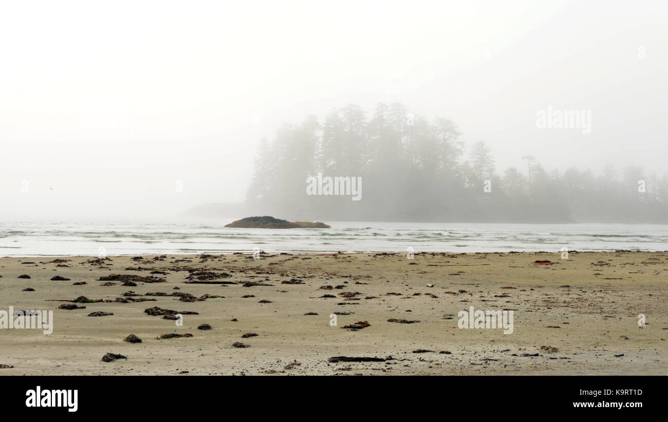 Pacific rim national park canada whale hi-res stock photography and ...