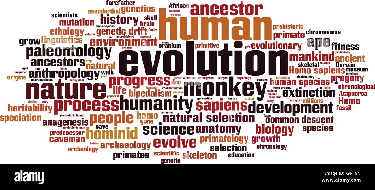 Evolution word cloud concept. Vector illustration Stock Vector Image ...