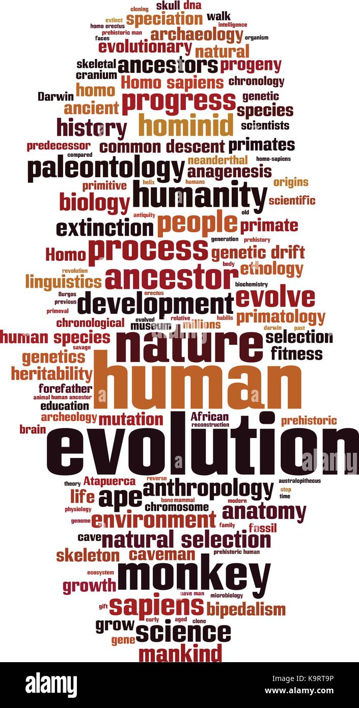 Evolution word cloud concept. Vector illustration Stock Vector Image ...