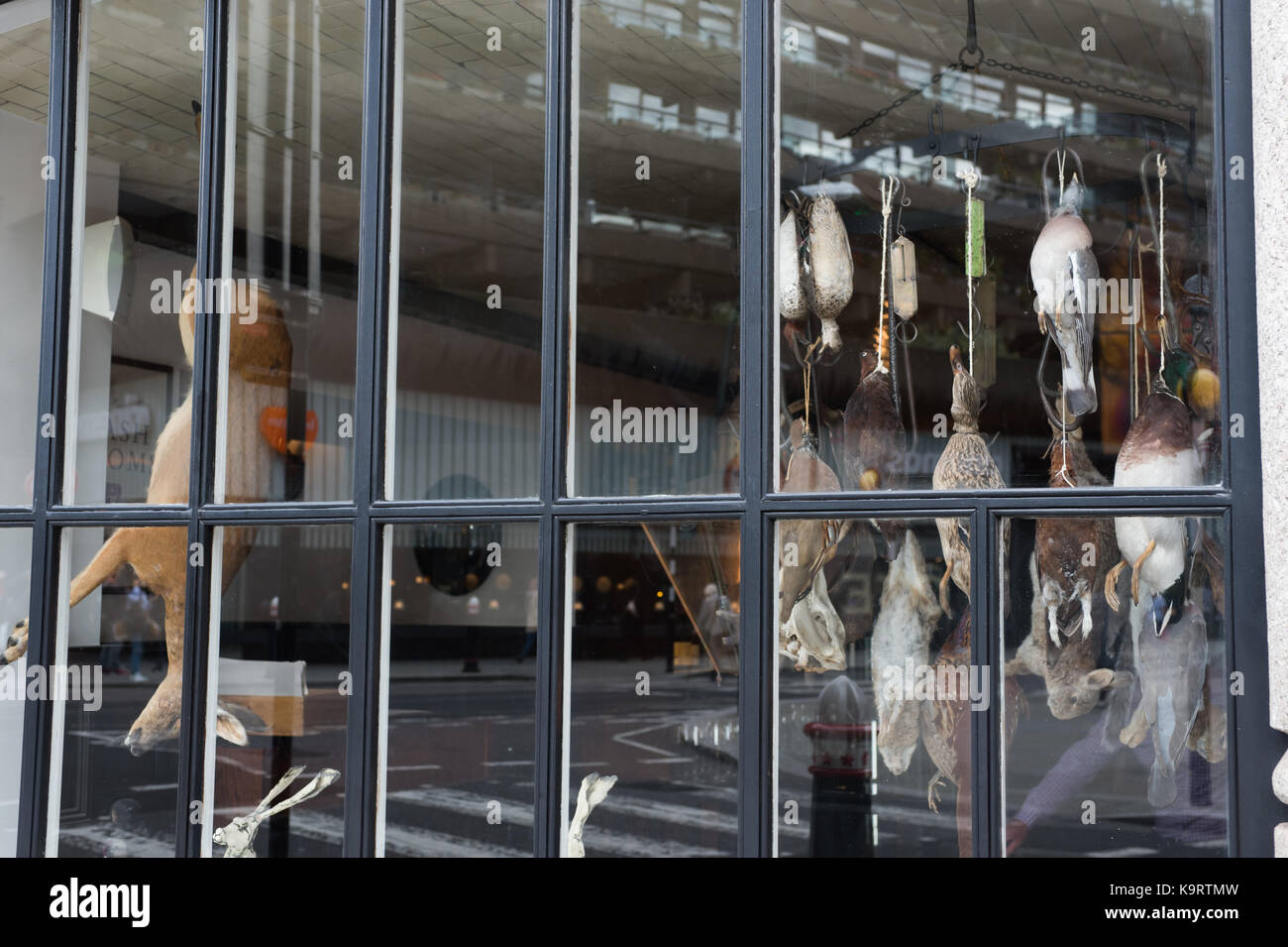 Animals hanging in a window in a restraunt in London Stock Photo - Alamy