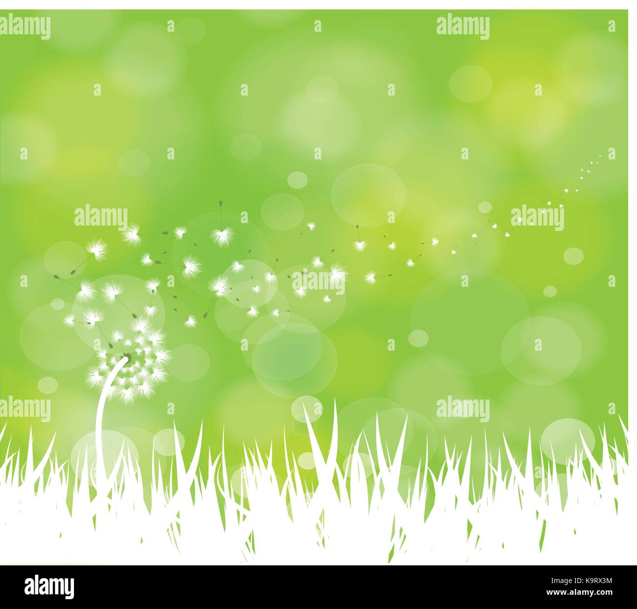 spring background with white dandelions Stock Vector Image & Art - Alamy